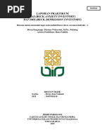 Laporan Interpretasi Rmib | PDF