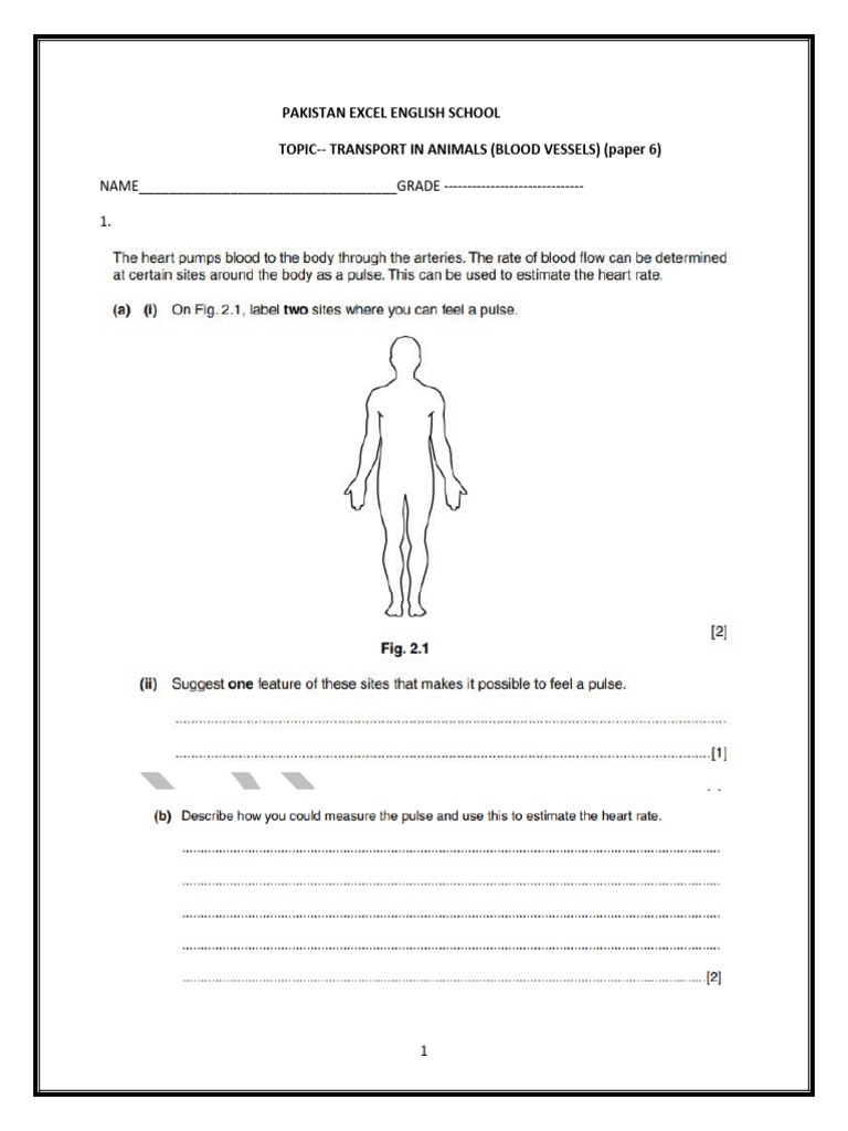Blood Vessels Worksheet | PDF