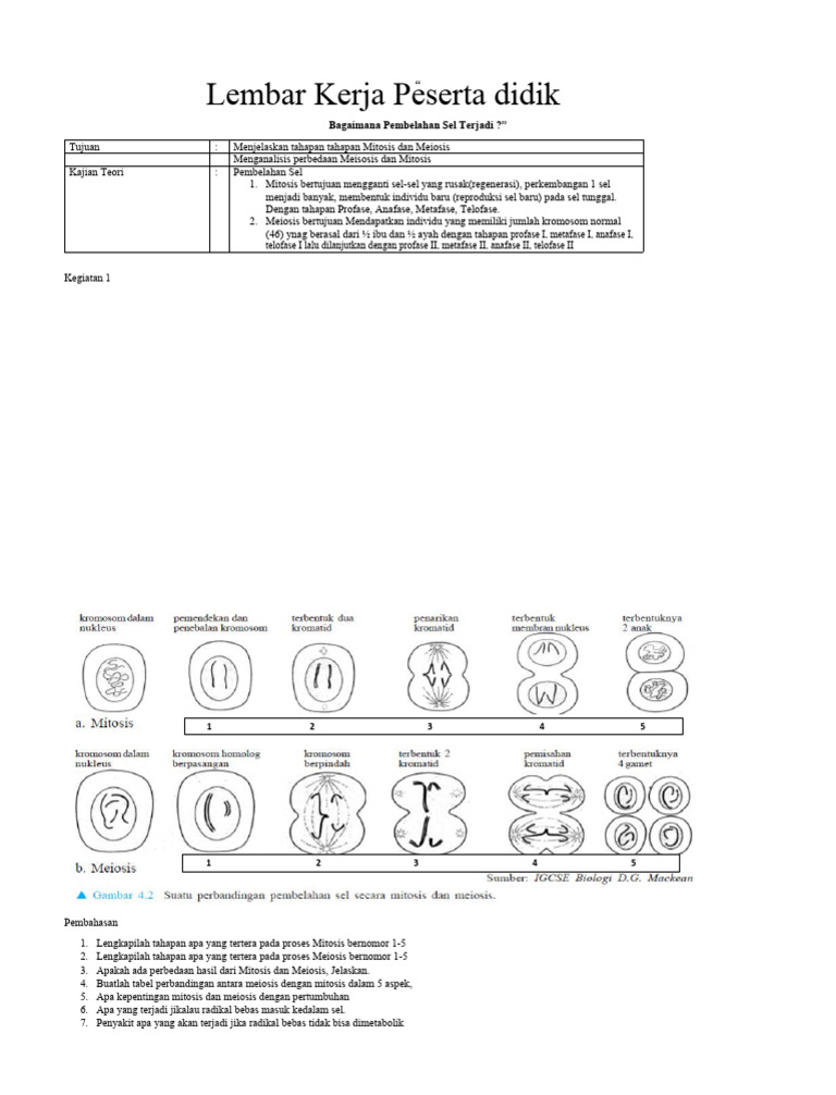LKPD 1 Pembelahan Sel | PDF | Pengembangan Diri | Kesehatan Holistik