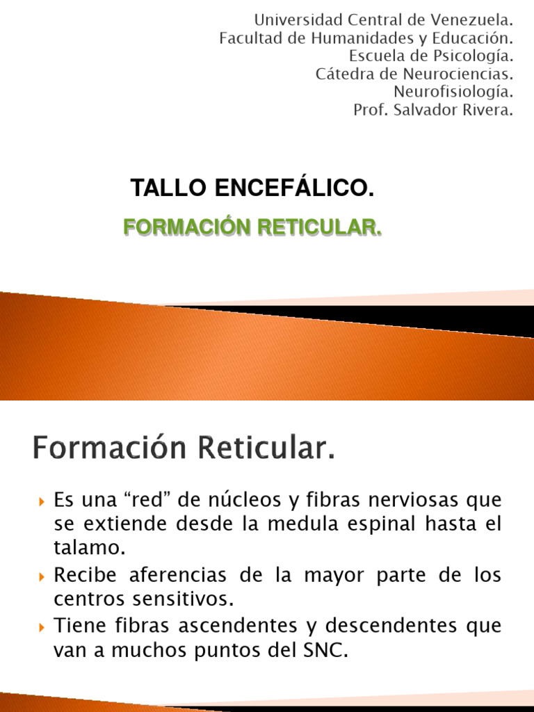 Formación Reticular Pdf Cerebelo Médula Espinal