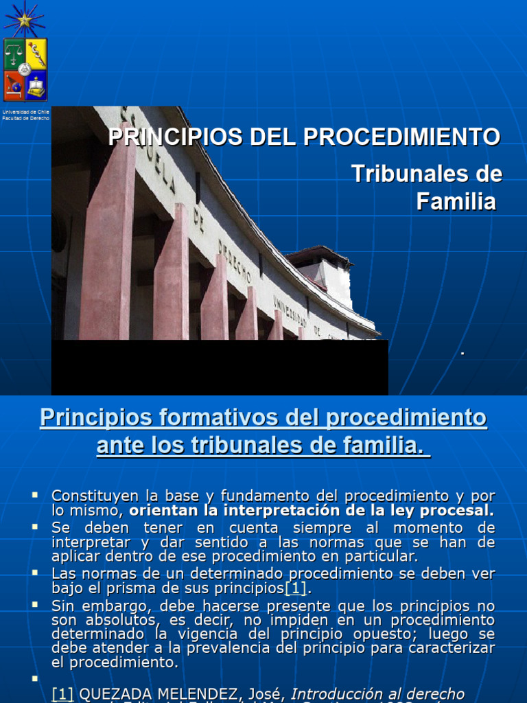Diapositiva Principios Del Procedimiento Tribunales de Familia | PDF