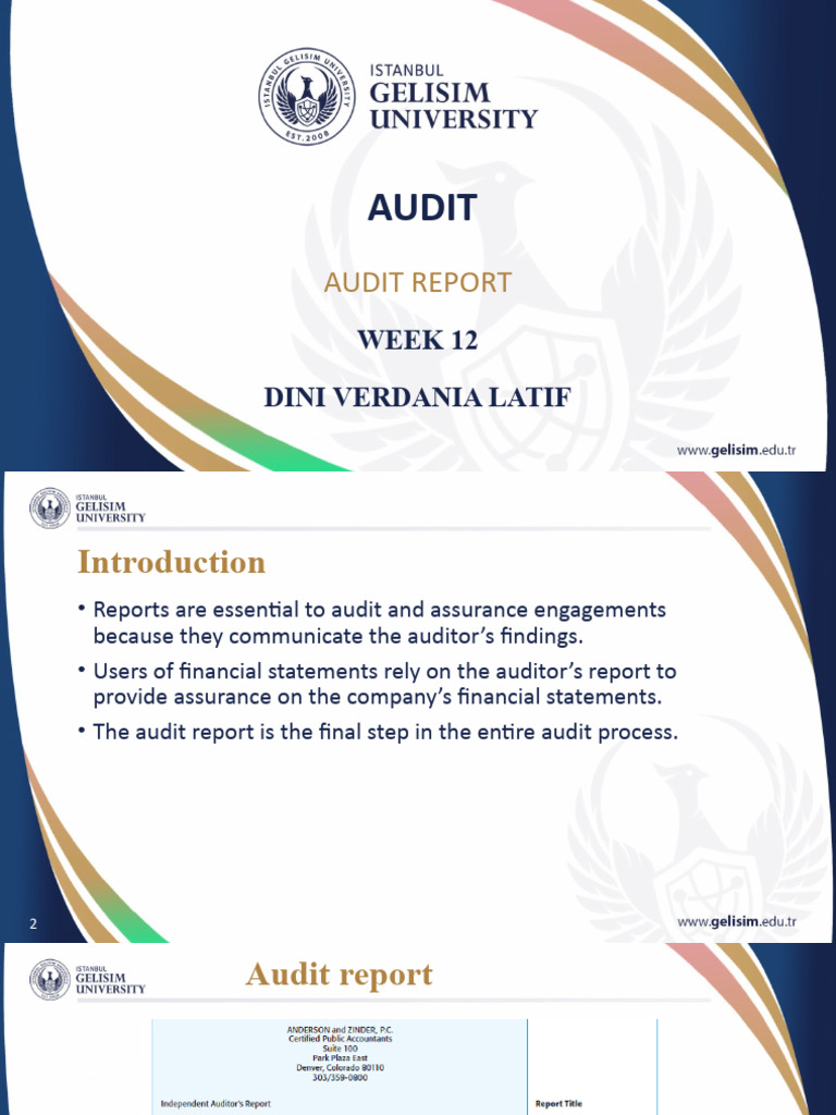 Audit 12 - Audit Report | Download Free PDF | Auditor's Report ...