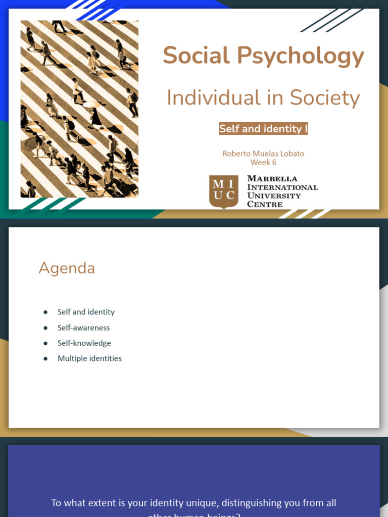 Social Psychology: Self and Identity | PDF