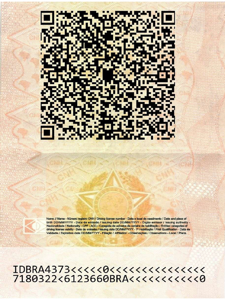 QR-Code CNH | PDF
