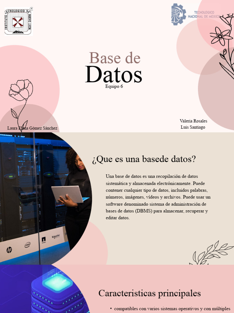 Tipos de Software | PDF