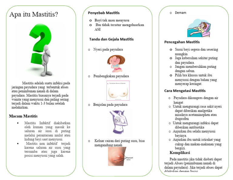Panduan Lengkap Mastitis: Gejala, Penyebab, dan Penanganan | PDF