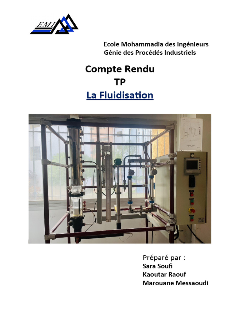 Fluidisation | PDF