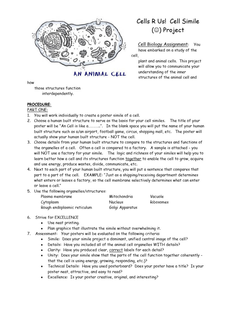 Cell Simile Poster Project Guide | PDF | Endoplasmic Reticulum | Cell ...