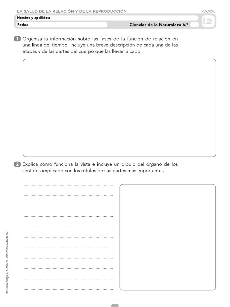 Unidad 2 - 2 | PDF | Reproducción