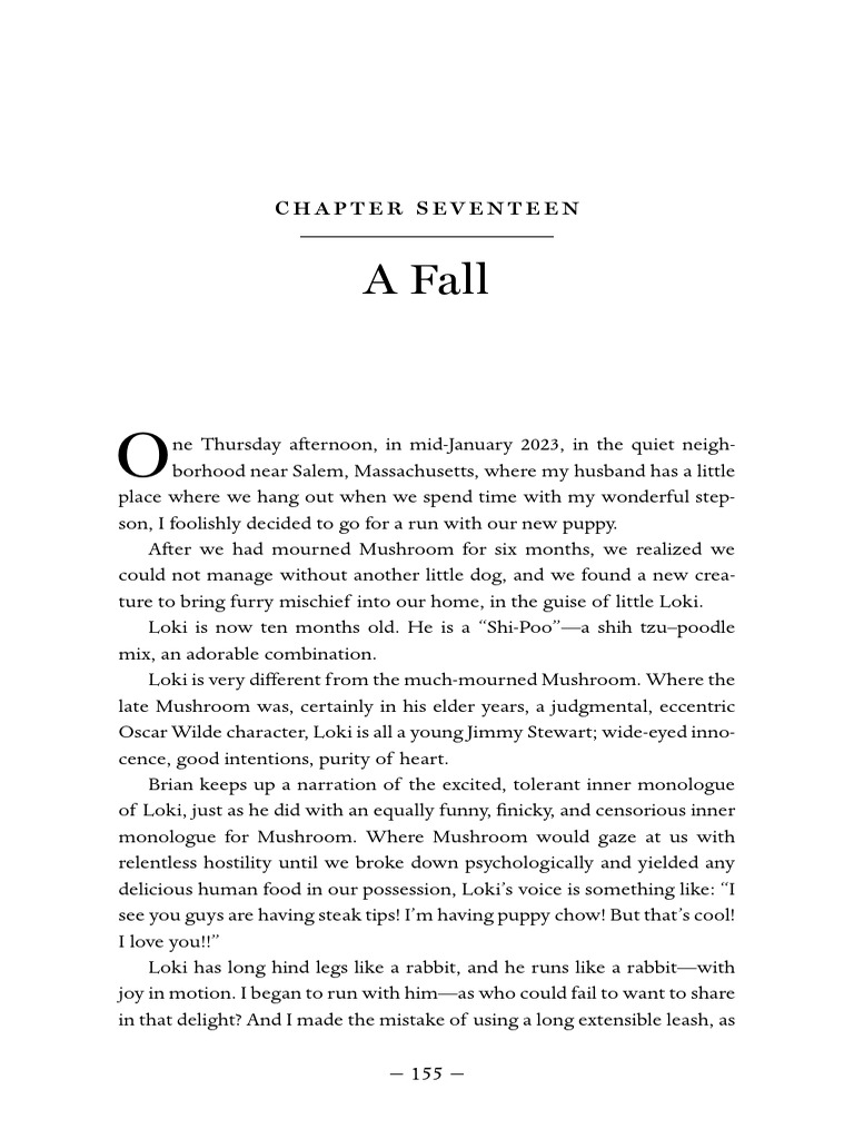 Facing The Beast: Chapter 17 - A Fall | PDF