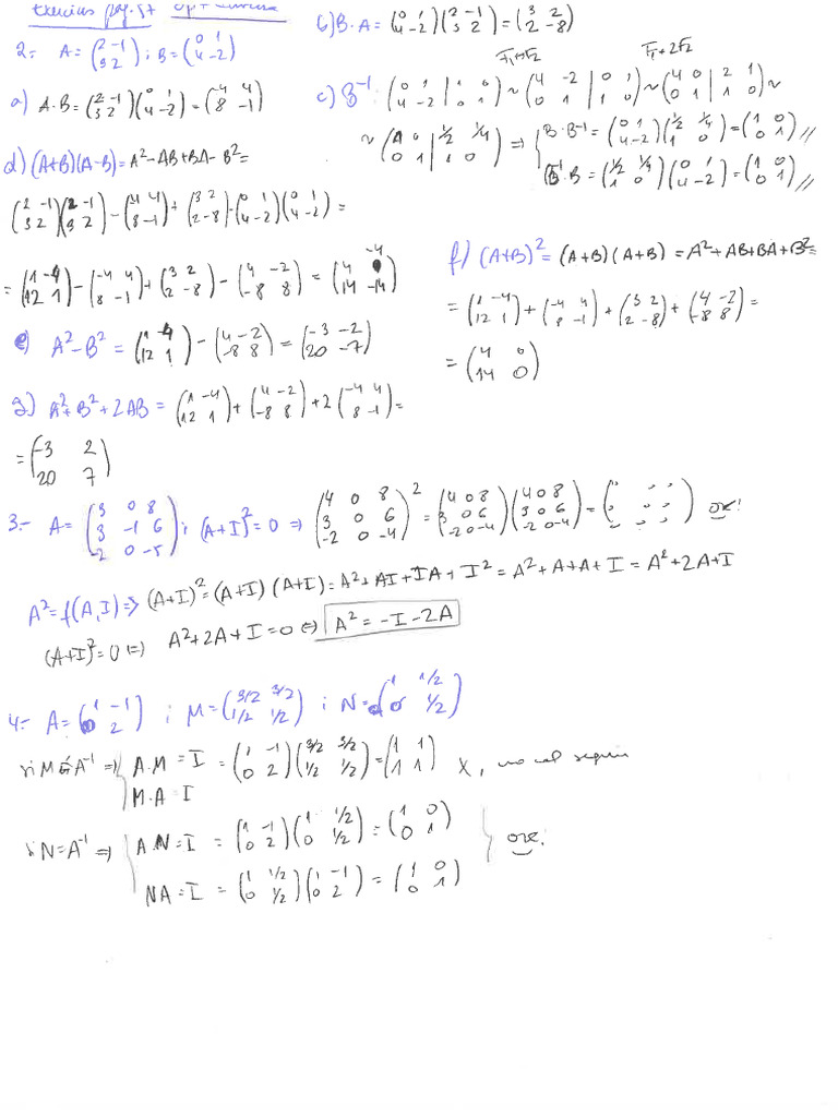 Exercicis Repàs Matrius | PDF