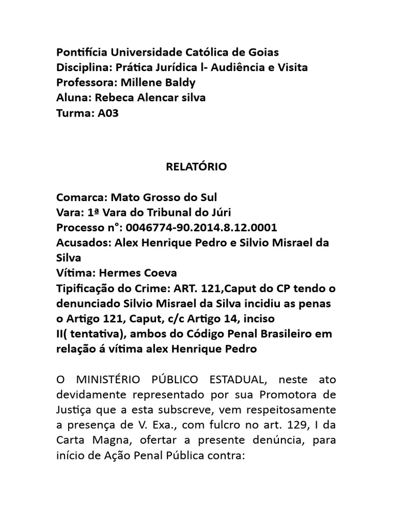 Relatorio | PDF | Homicídio | Crimes