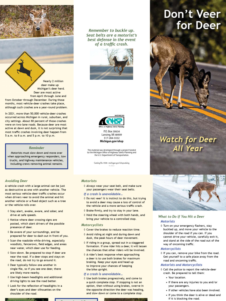 9500 Watch For Deer All Year Brochure | PDF