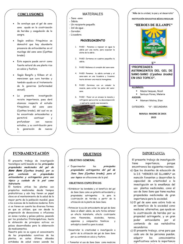 Triptico - Ok | PDF | Plantas medicinales