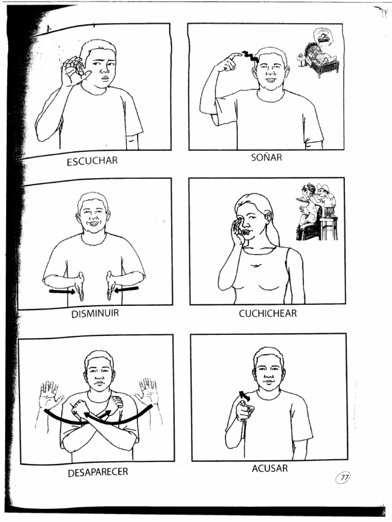 VERBOS Lesho | PDF