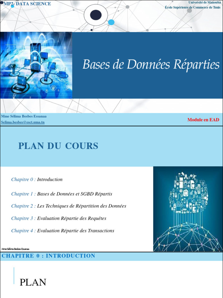 Chapitre 0 - Introduction Aux BDR | PDF
