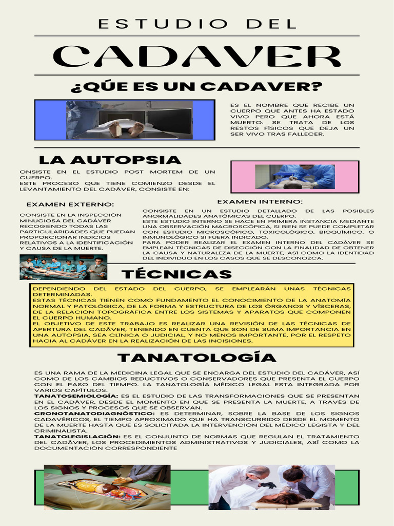 Estudio Del Cadaver | PDF | Autopsia | Cadáver