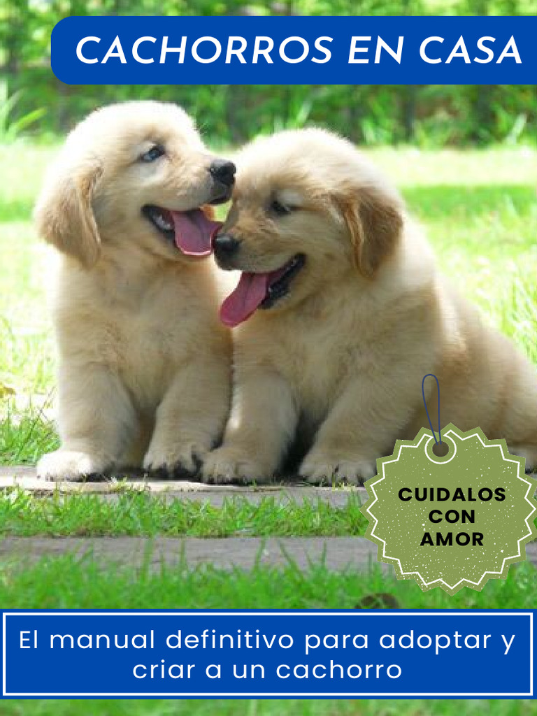 Bono 3 - Cachorro en Casa El Manual Definitivo para Adoptar y Criar A Un Cachorro | PDF