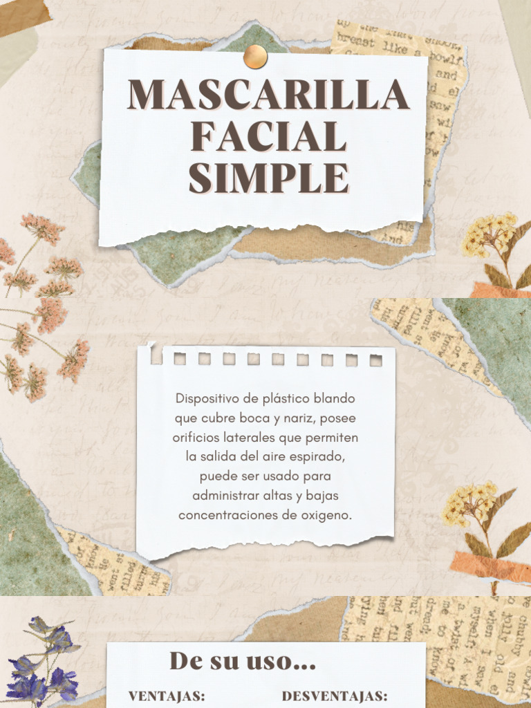 Mascarilla Simple: Uso y Características | PDF