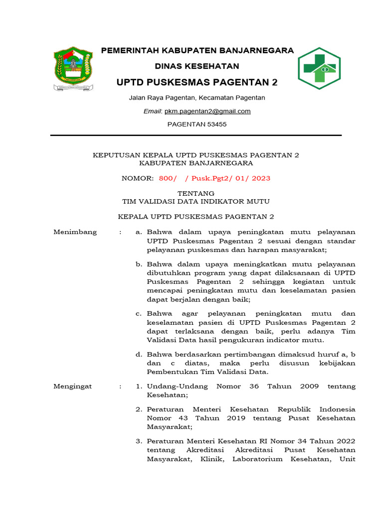 Tim Validasi Data Puskesmas | PDF