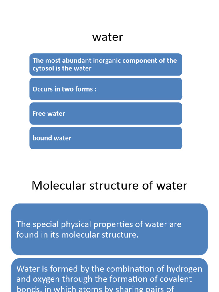 Water | PDF