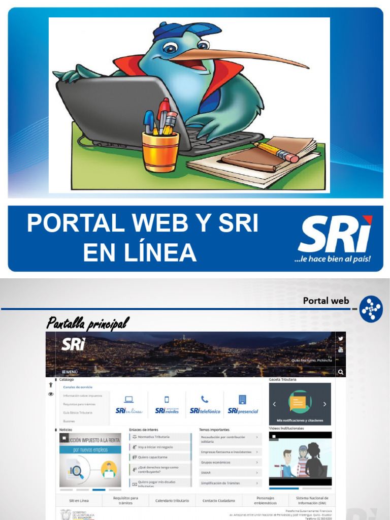 Portales Web y SRI en Línea | PDF | Red mundial | Internet y web
