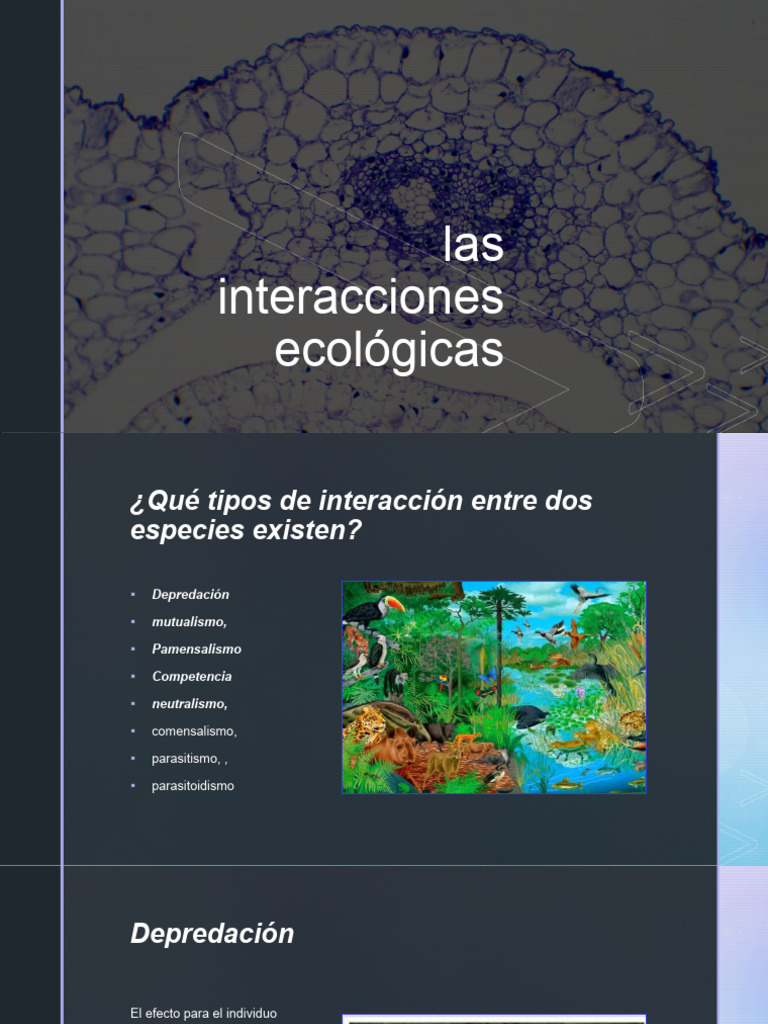 Tipos de Interacciones Ecológicas | PDF | Depredación | Simbiosis