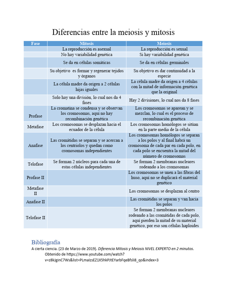 Diferencias Entre La Meiosis y Mitosis | PDF | Mitosis | Mitosis