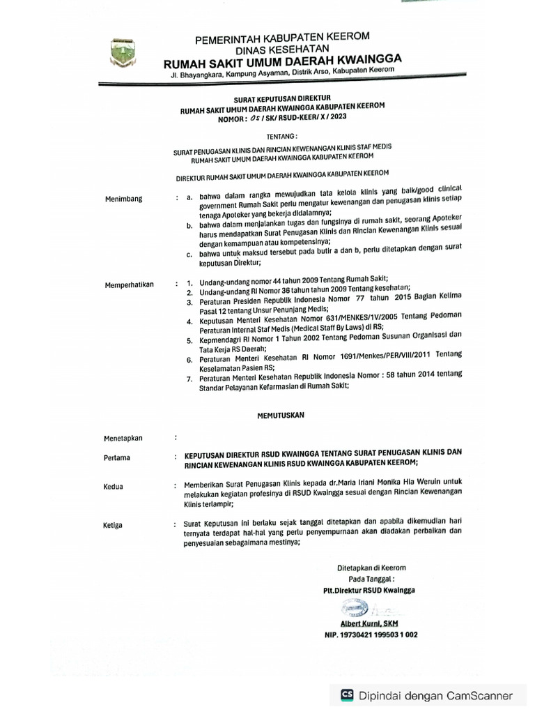 SPK, RKK Dokter Umum | PDF