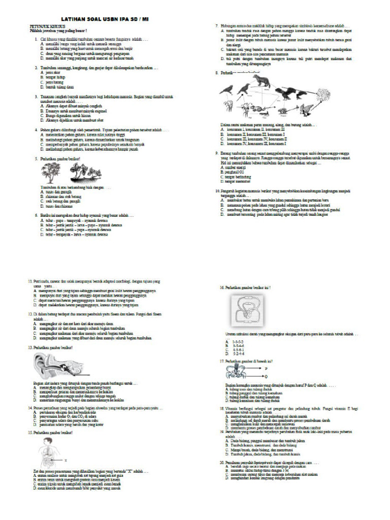 Soal Tryout Ipa 2021 | PDF