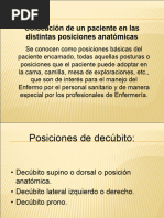 Posicion Flower Semiflower | PDF