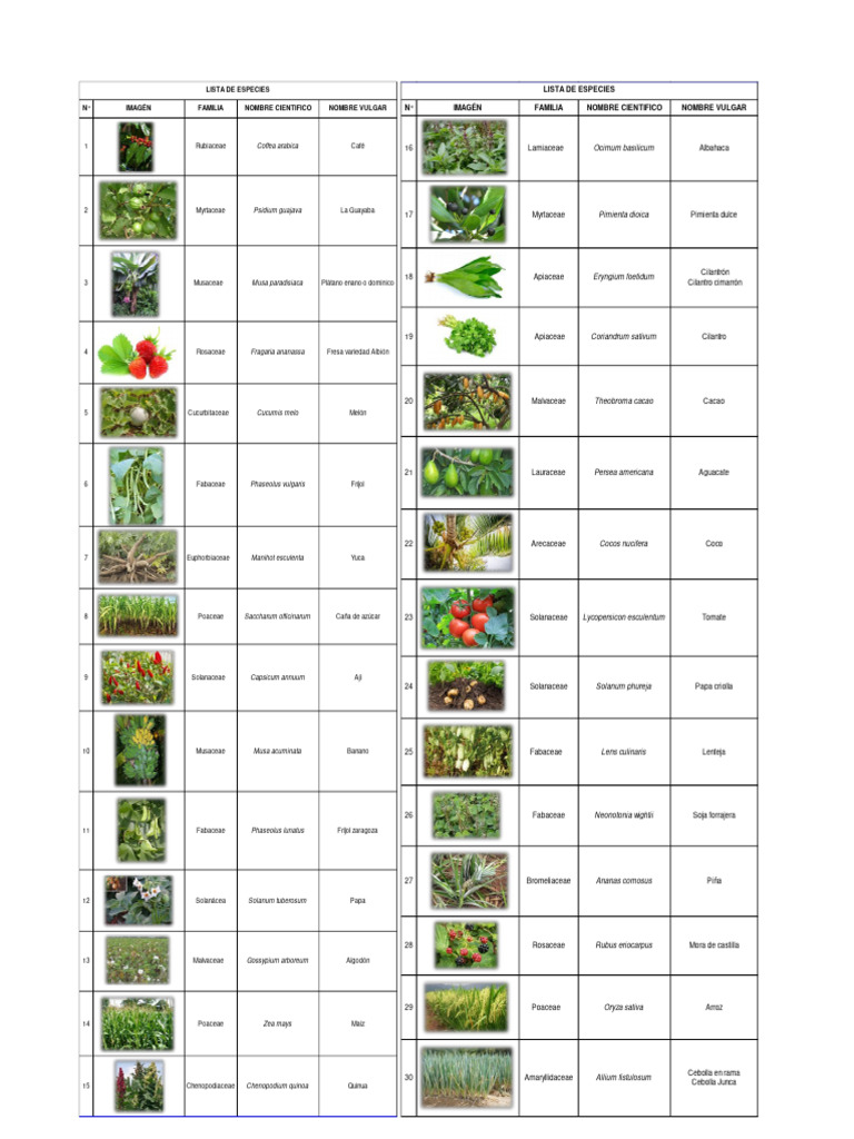Lista de Especies | PDF | Plantas | Cocina vegana