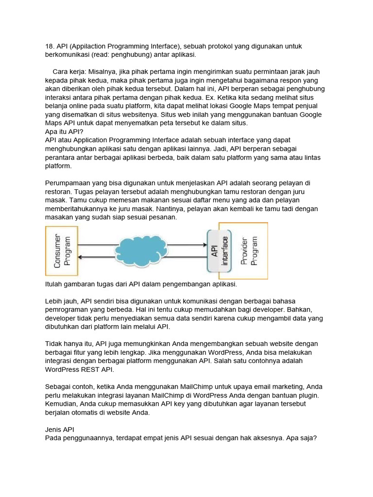 18 - API (Applications Programming Interface) | PDF