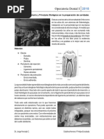 Técnica Roth en Ortodoncia: Diagnóstico y Prescripción | PDF ...