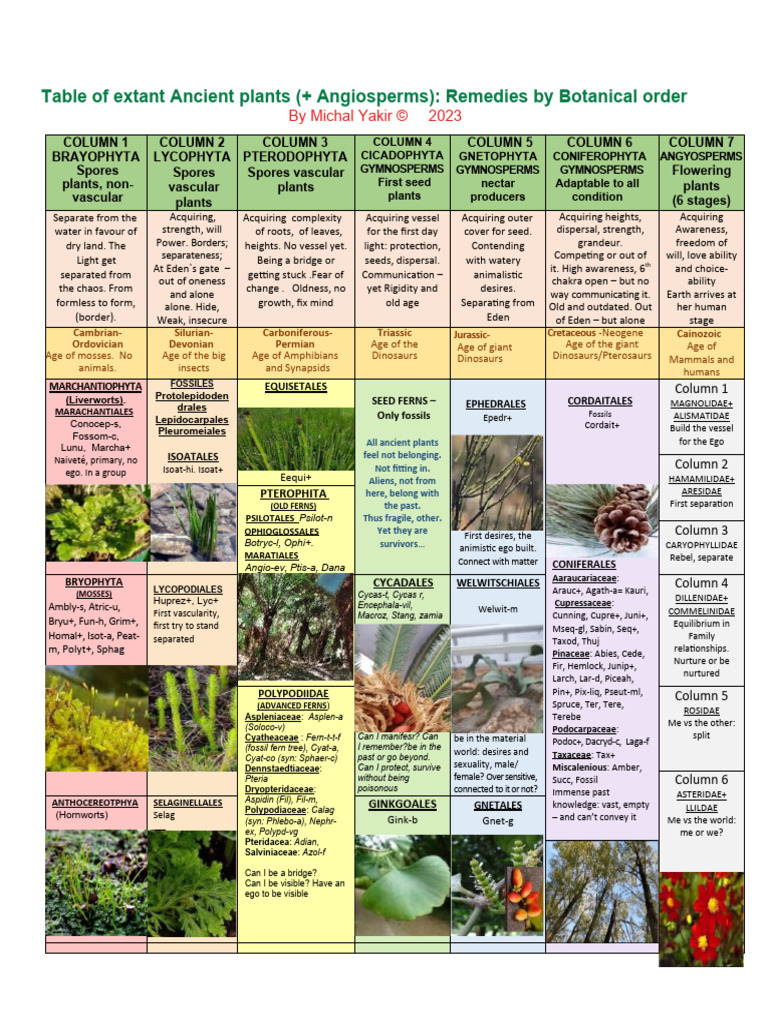 Ancient Plants 7col Schema 1 Page - by Michal Yakir | PDF | Plants | Organisms