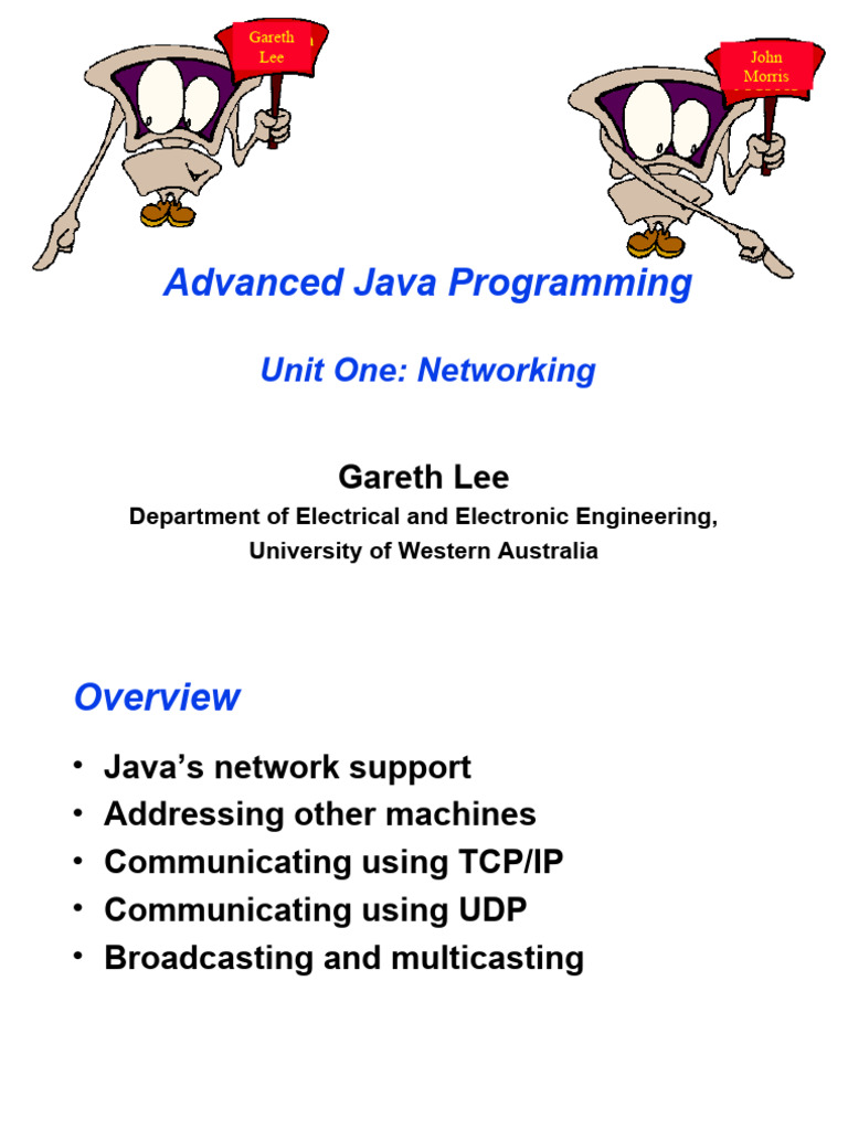 AJava Networking | PDF | Computer Network | Port (Computer Networking)