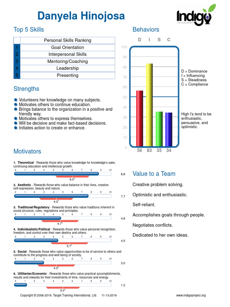 Indigo Disc Assessment | PDF | Creativity | Leadership