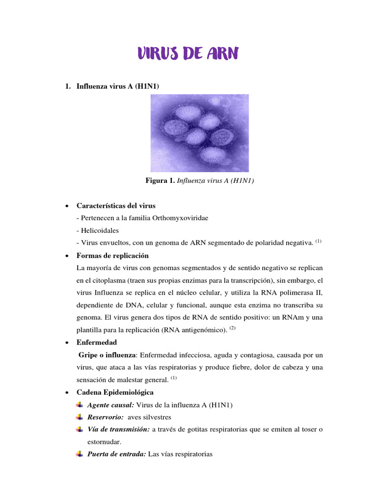 Virus de Arn | PDF | Virus | Influenza