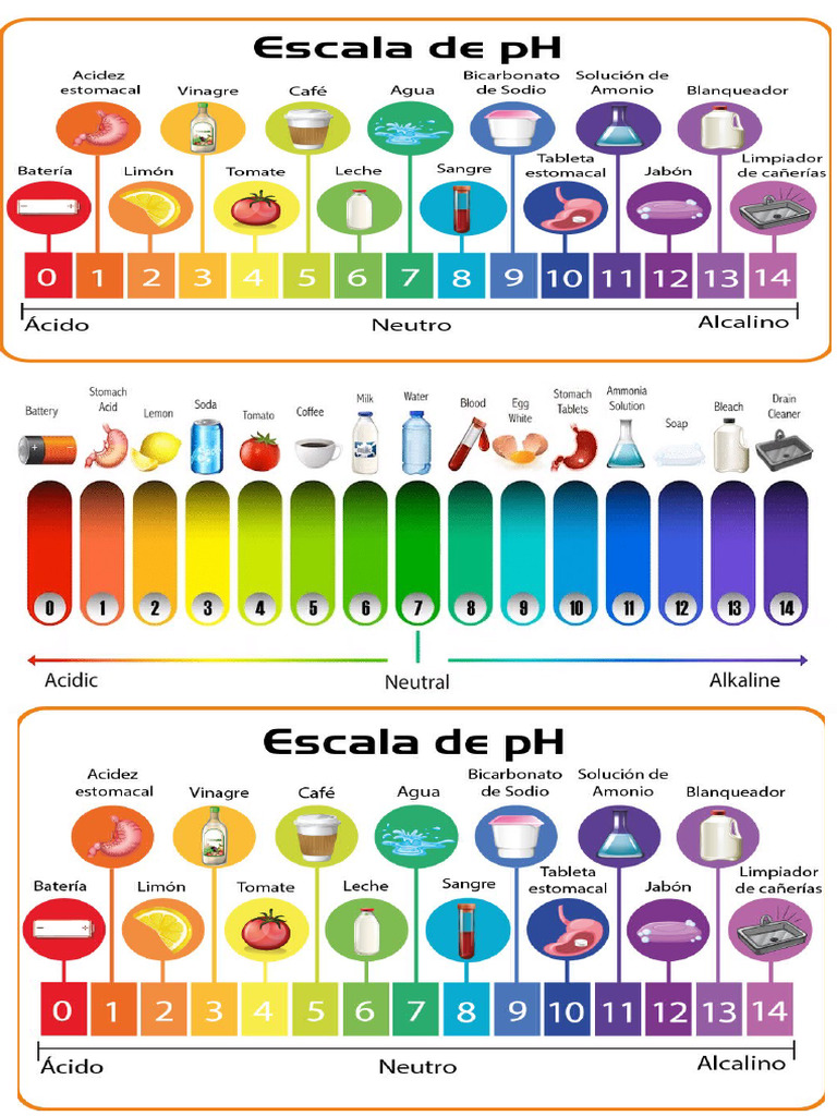 PH Ciencias | PDF