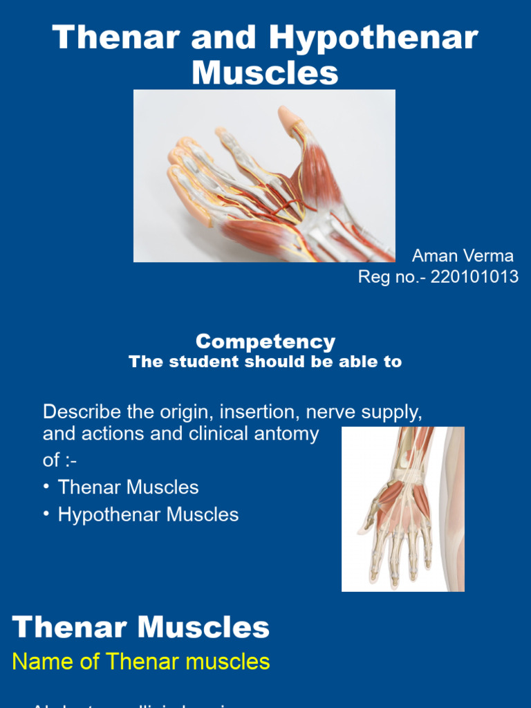 Thenar & Hypothenar | PDF | Thumb | Hand