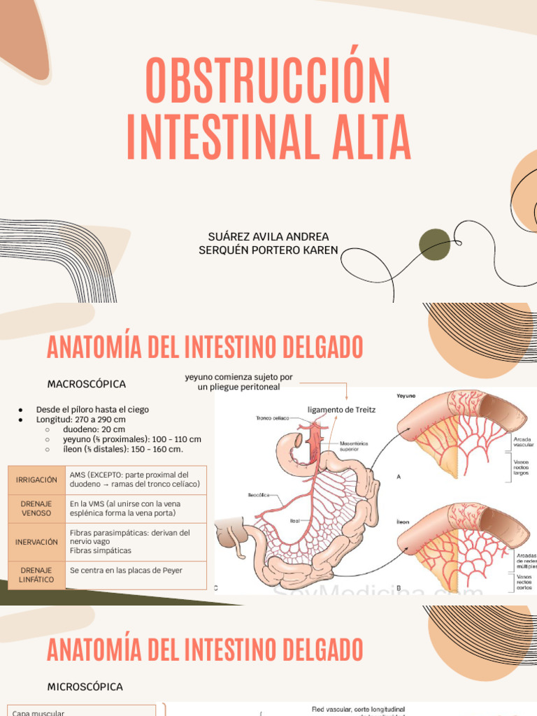 Obstrucción Intestinal: Causas y Diagnóstico | PDF | Medicina CLINICA ...