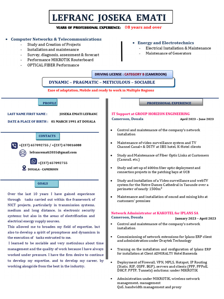 CV en | PDF | Computer Network | Service Industries