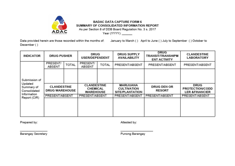 BADAC Data Capture Form 6 Overview | PDF