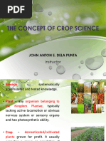 Major Crops and Distribution in Philippines | PDF | Luzon | Crops