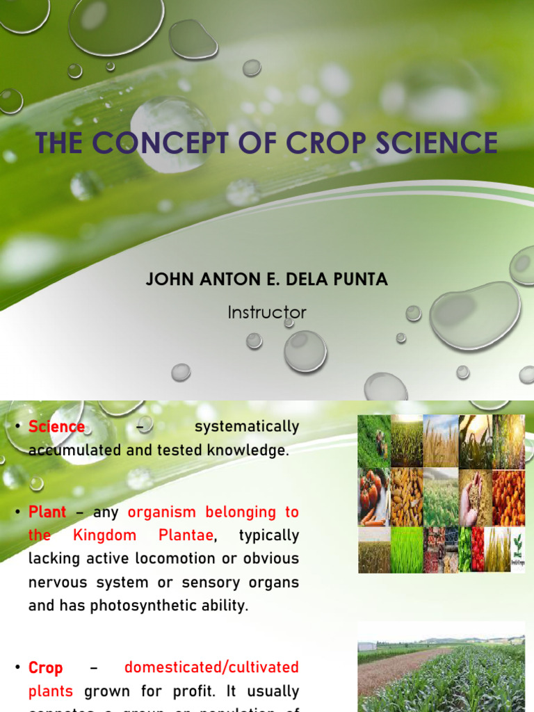 The Concept of Crop Science | PDF | Plants | Perennial Plant