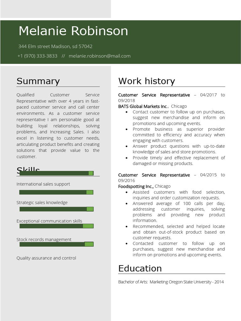 CV Template | PDF
