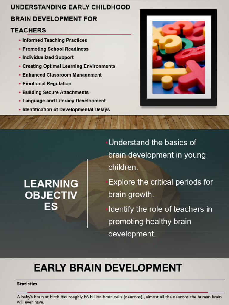 Brain Development in Early Years | PDF | Frontal Lobe | Cerebral Cortex