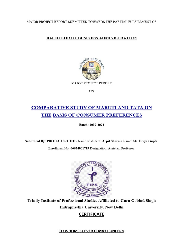 Arpit Project Report | PDF