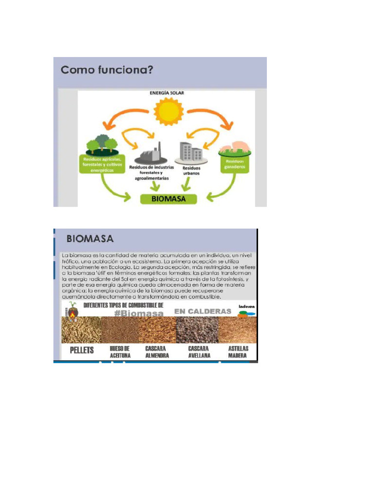 Biomasa, Diagrama | PDF