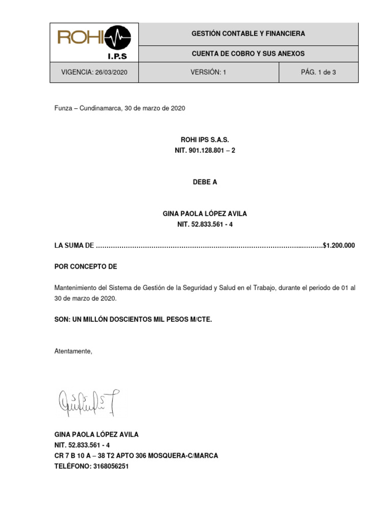 006-20 Rohi Ips Sas | PDF | Economias